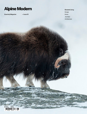 Alpine Modern → The Office of Ordinary Things