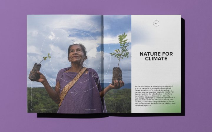 Conservation International 2022 → The Office of Ordinary Things