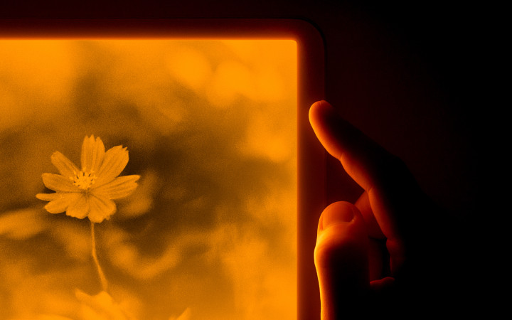 Daylight → The Office of Ordinary Things